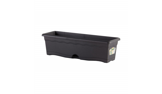Alusega Lillepott Plastiken Antratsiithall polüpropüleen (80 x 20 cm ...