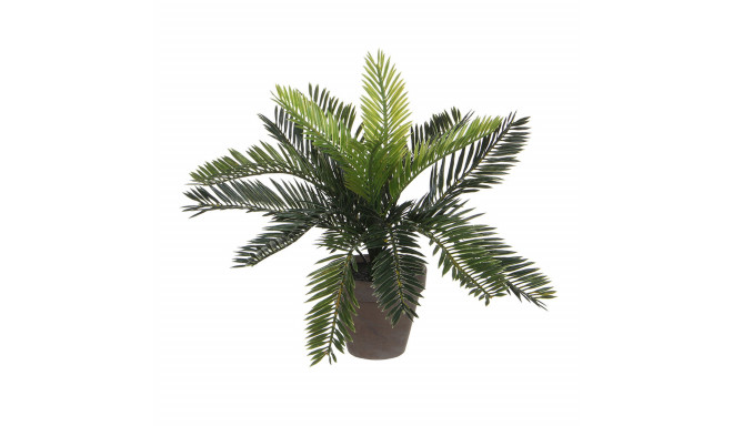 Dekoratiivne Taim Mica Decorations Keraamiline Palmipuu (11,5 x 33 cm ...
