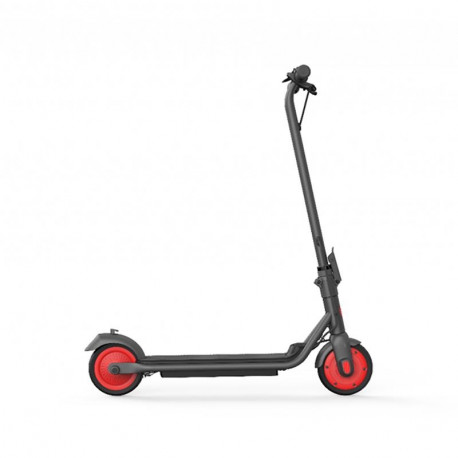 Tõukeratas Segway Zing C20 - Electric scooters - Photopoint