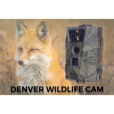 Denver Digital wildlife camera with 5 megapixel CMOS sensor ...