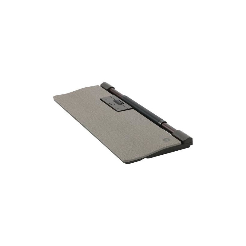 Contour Design RollerMouse Pro Wireless with Regular wrist rest in ...