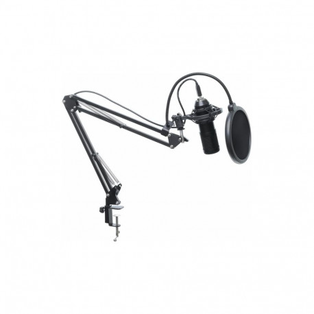 ART CONDENSER MICROPHONE ON A BOOM WITH MEMBRANE AC-03 USB ...
