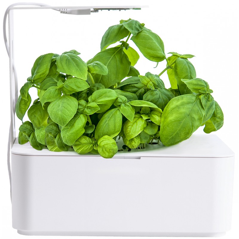 Click & Grow Smartpot Grow Light - Citrus presses - Photopoint